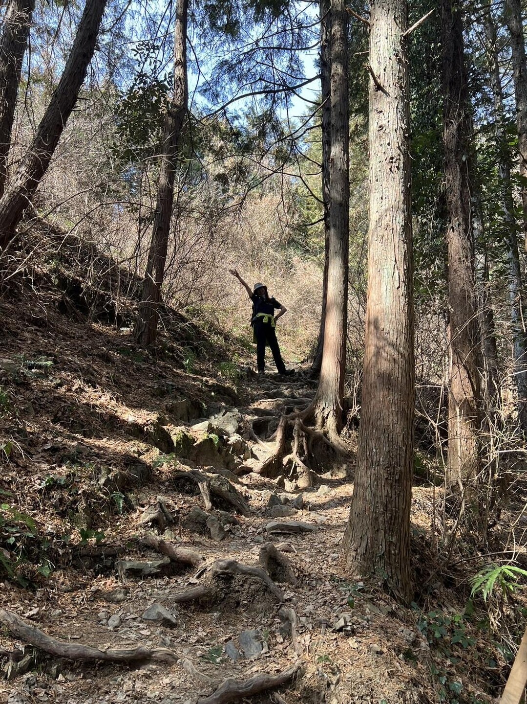 Satochanのページ | YAMAP / ヤマップ