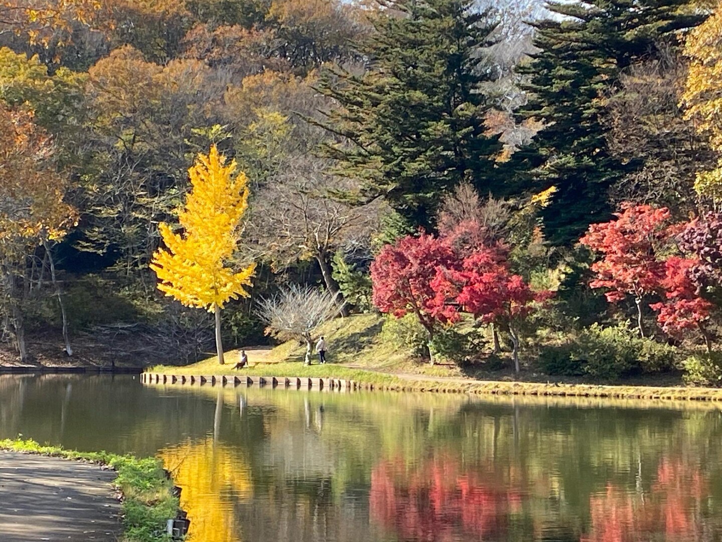 北山公園と天神の里 / Bull&Umiさんのウォーキングの活動データ | YAMAP / ヤマップ
