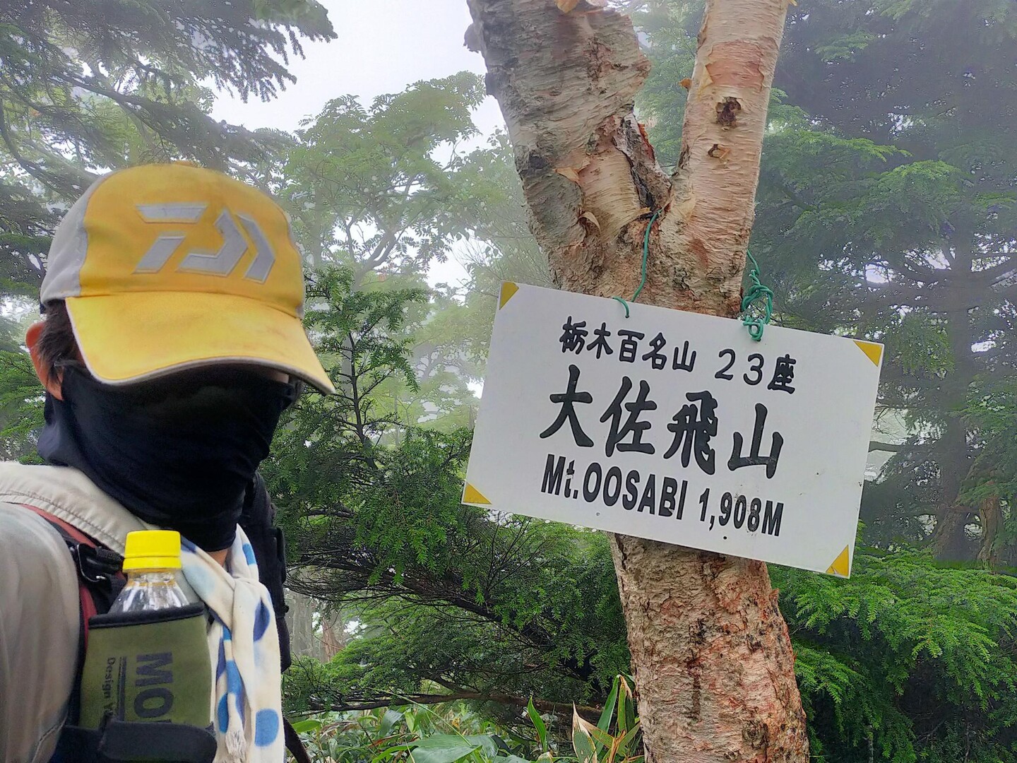 夏の裏サビッ！！2024 / Sky Sunさんの黒滝山・百村山の活動日記 | YAMAP / ヤマップ