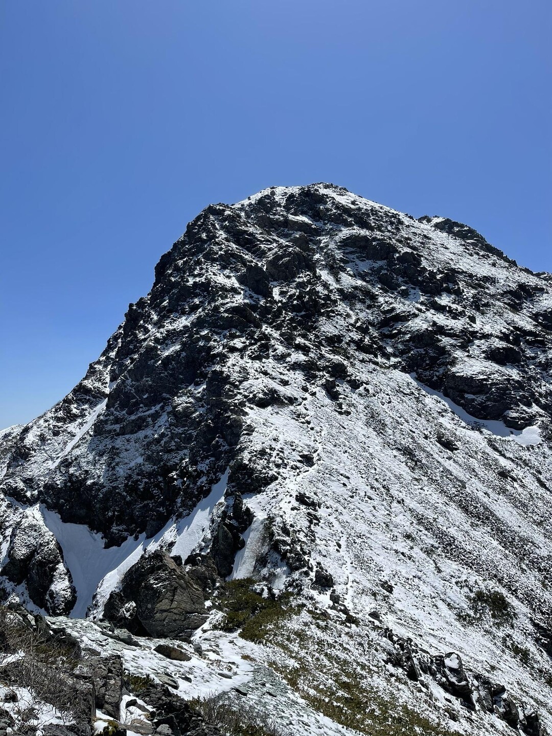 三伏山・本谷山・塩見岳・塩見岳（東峰） / ANZUNUKOさんの塩見岳・権右衛門山・蝙蝠岳の活動日記 | YAMAP / ヤマップ