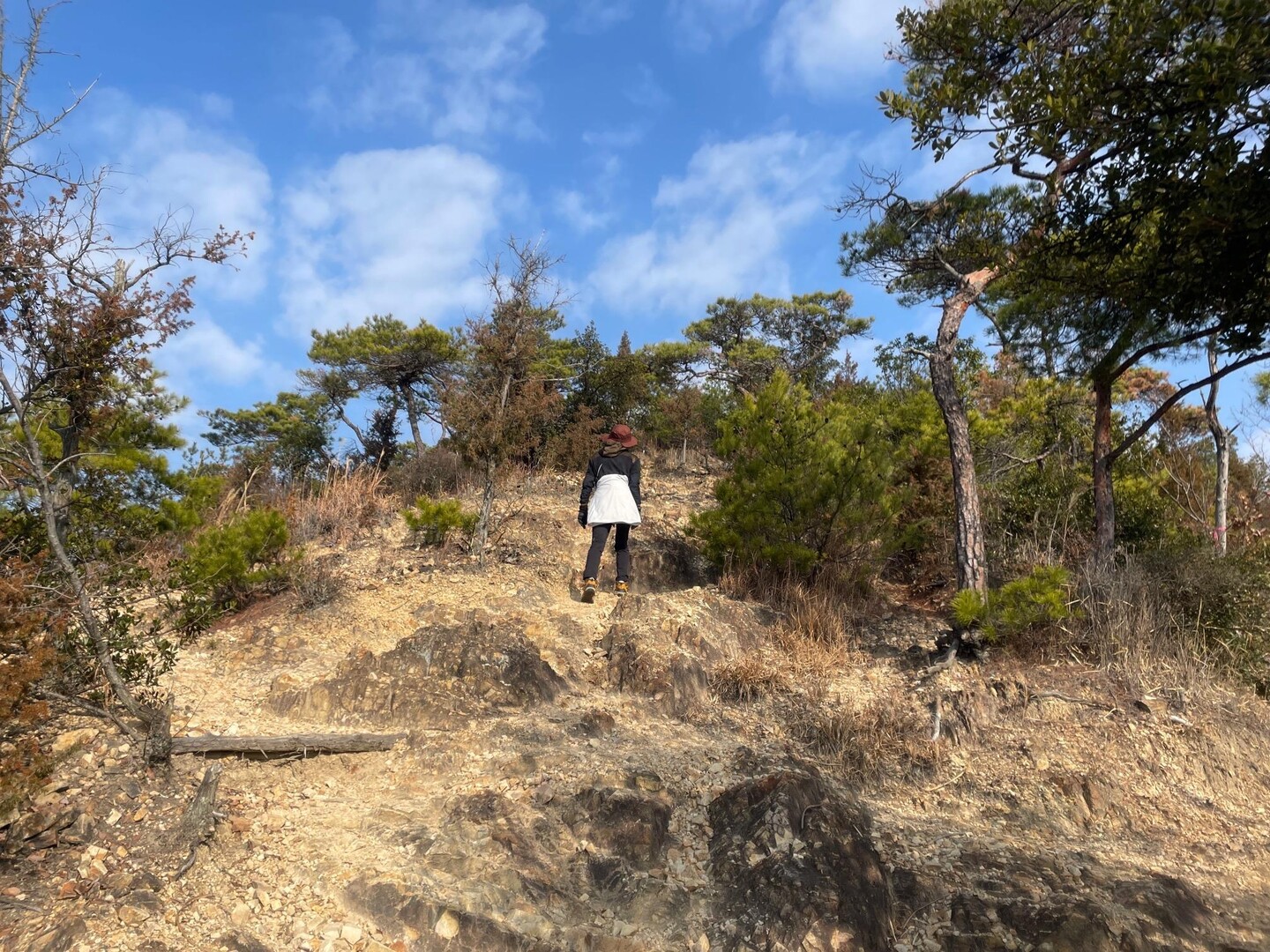 登り納めは蔵王山 / aki-kiyoさんの蔵王山の活動データ | YAMAP / ヤマップ