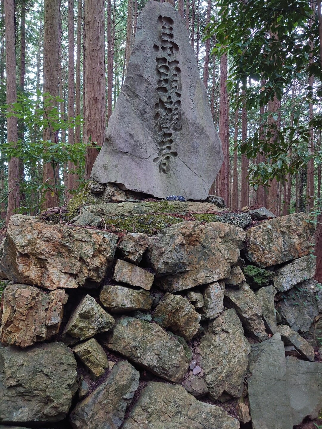 seironさんの投稿したフィールドメモ | YAMAP / ヤマップ