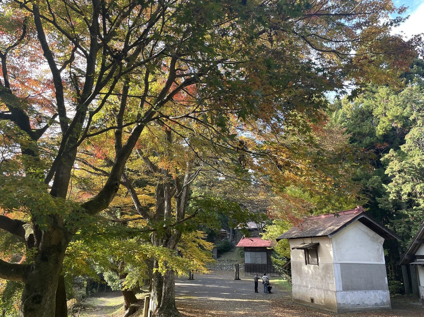 高麗駅-日和田山-高差山-物見山-顔振峠-吾野駅 / serickさんのヤマノススメ巡礼マップ（天覚山・大高山・子の権現）の活動データ ...