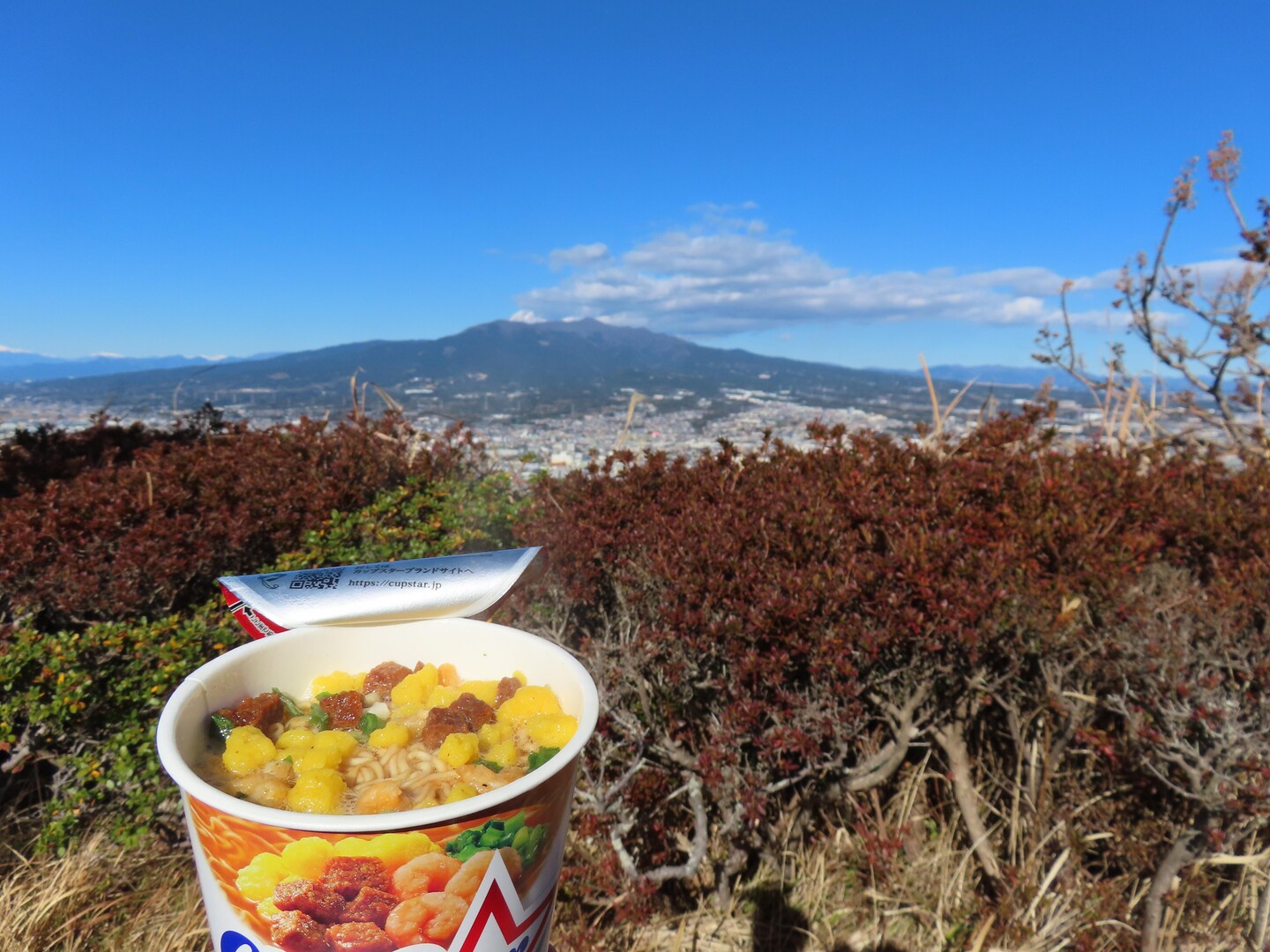 徳倉山～香貫山 / ibizouさんの沼津アルプス・鷲頭山・香貫山の活動データ | YAMAP / ヤマップ