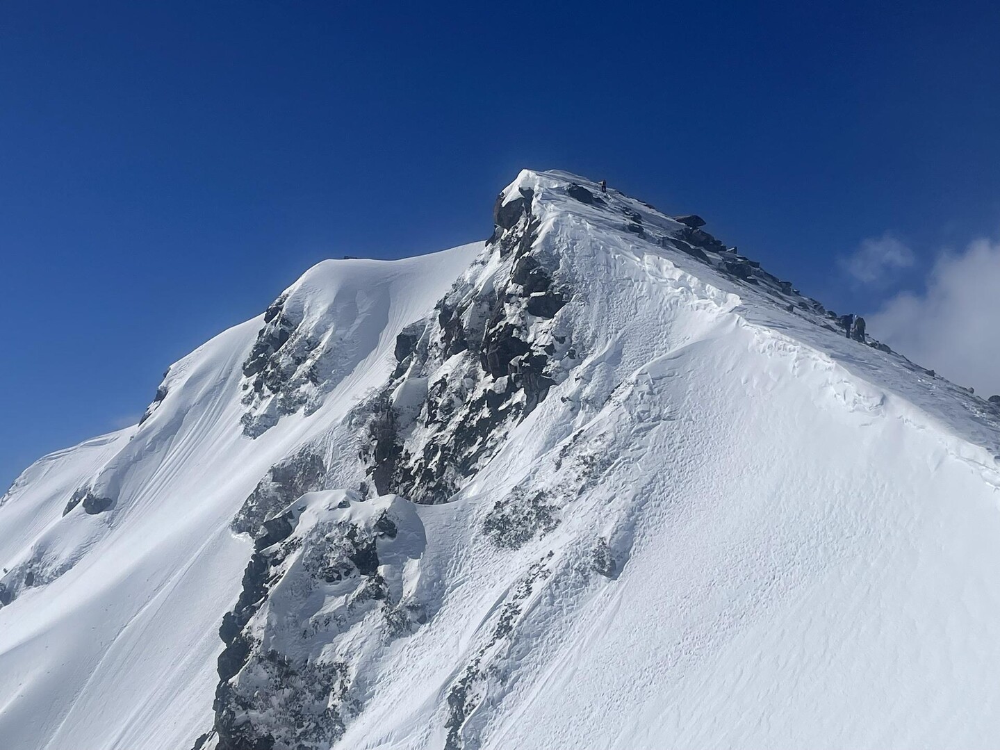 リベンジ成功 ️常念岳東尾根😃 / cefiroさんの常念岳・大天井岳・燕岳の活動データ | YAMAP / ヤマップ