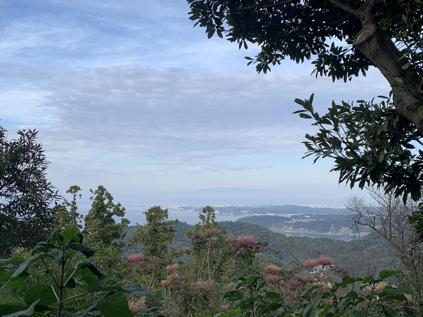 R5.10.25 仙元山・ソッカ / あおかつさんの三浦アルプス・二子山・仙元山の活動データ | YAMAP / ヤマップ