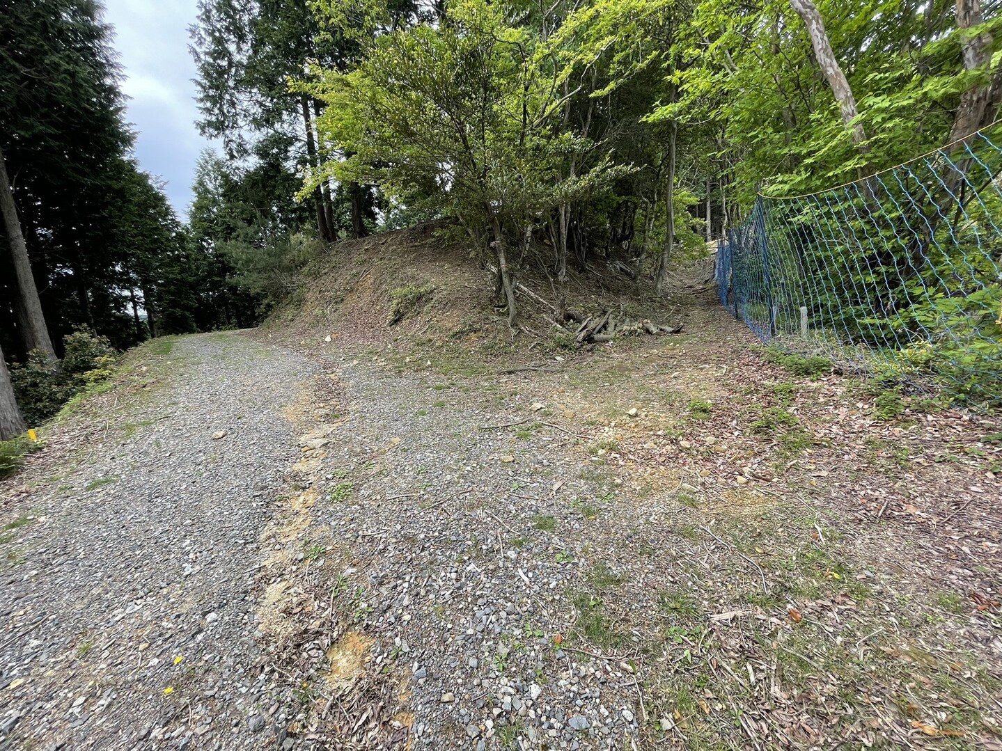 osamさんの投稿したフィールドメモ | YAMAP / ヤマップ