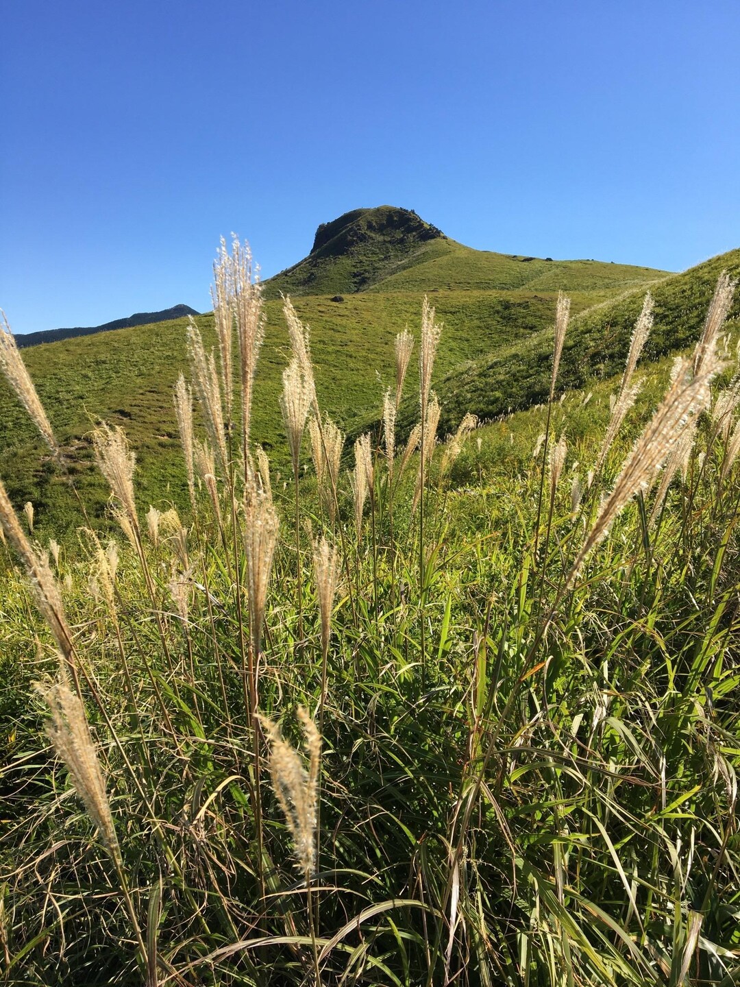 一ノ峯・二ノ峯 / big treeさんの俵山・冠ヶ岳・清栄山の活動データ | YAMAP / ヤマップ