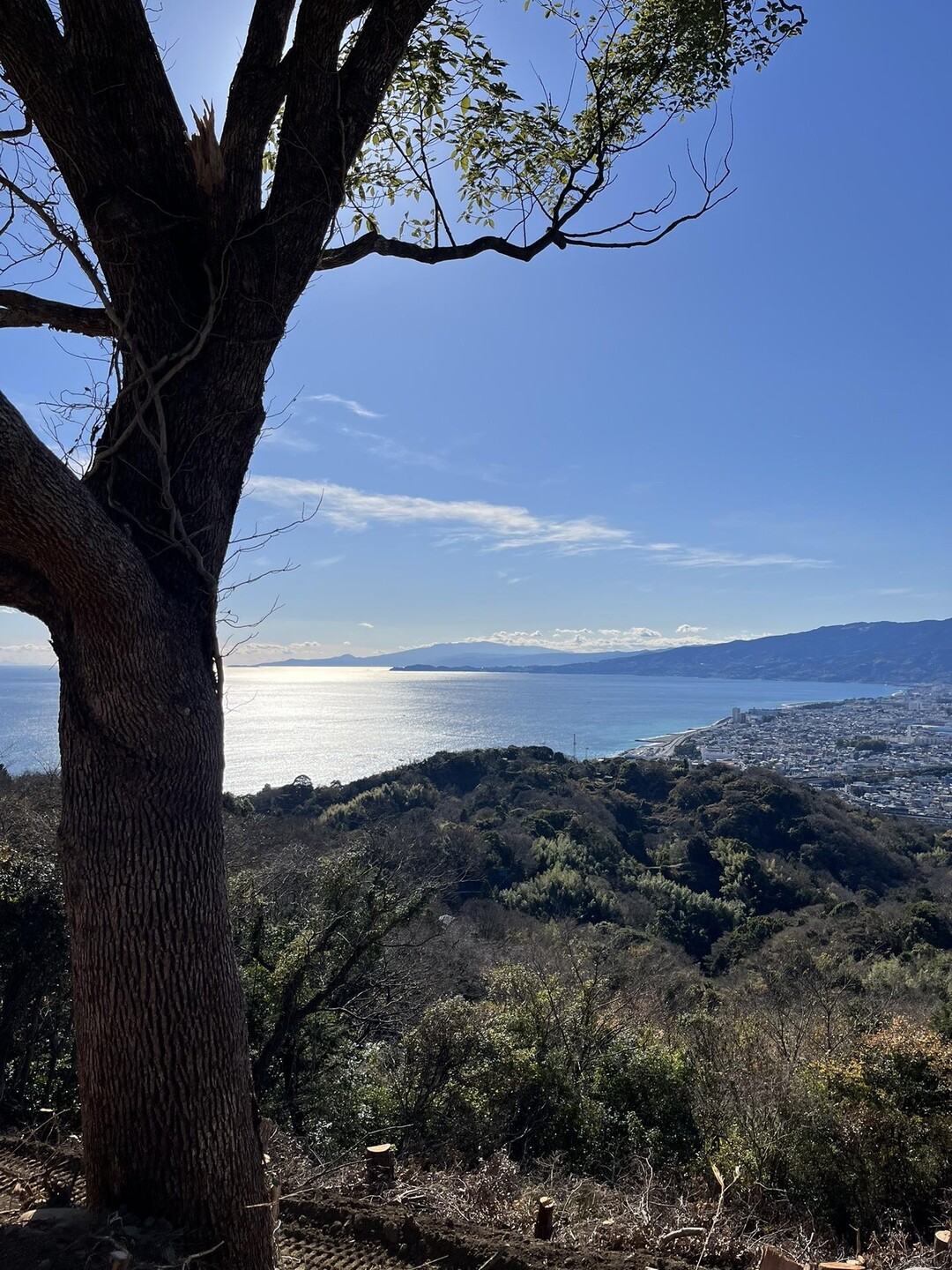 曽我丘陵（低山ハイク） / KONIさんの不動山・浅間山・曽我山の活動データ | YAMAP / ヤマップ