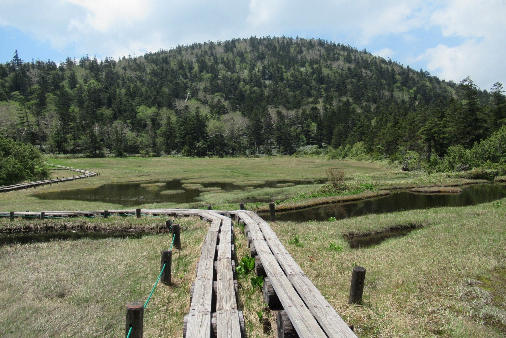 志賀山・裏志賀山 / 横手山・志賀山・赤石山の写真56枚目 | YAMAP / ヤマップ