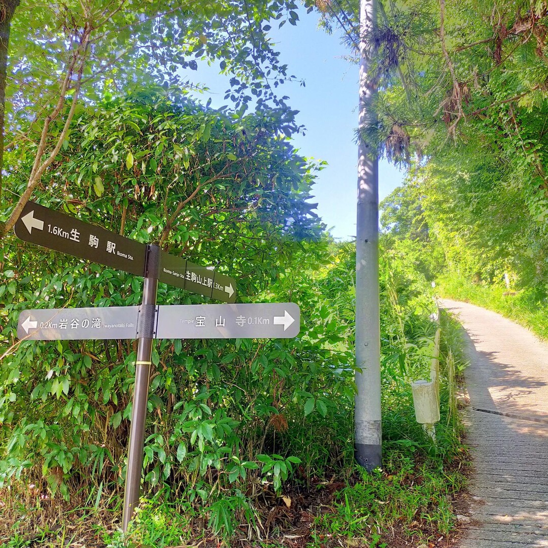 sadaさんの投稿したフィールドメモ | YAMAP / ヤマップ