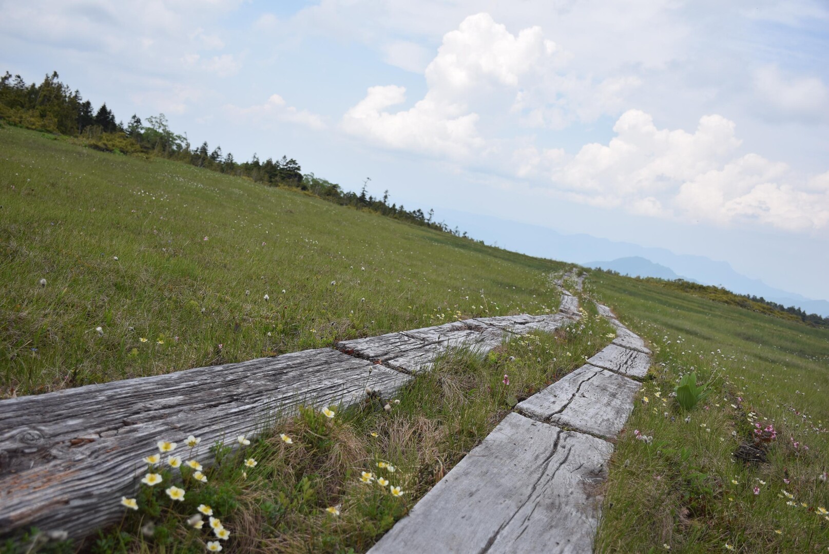 帝釈山 田代山。 / ritchさんの田代山・帝釈山の活動データ | YAMAP / ヤマップ