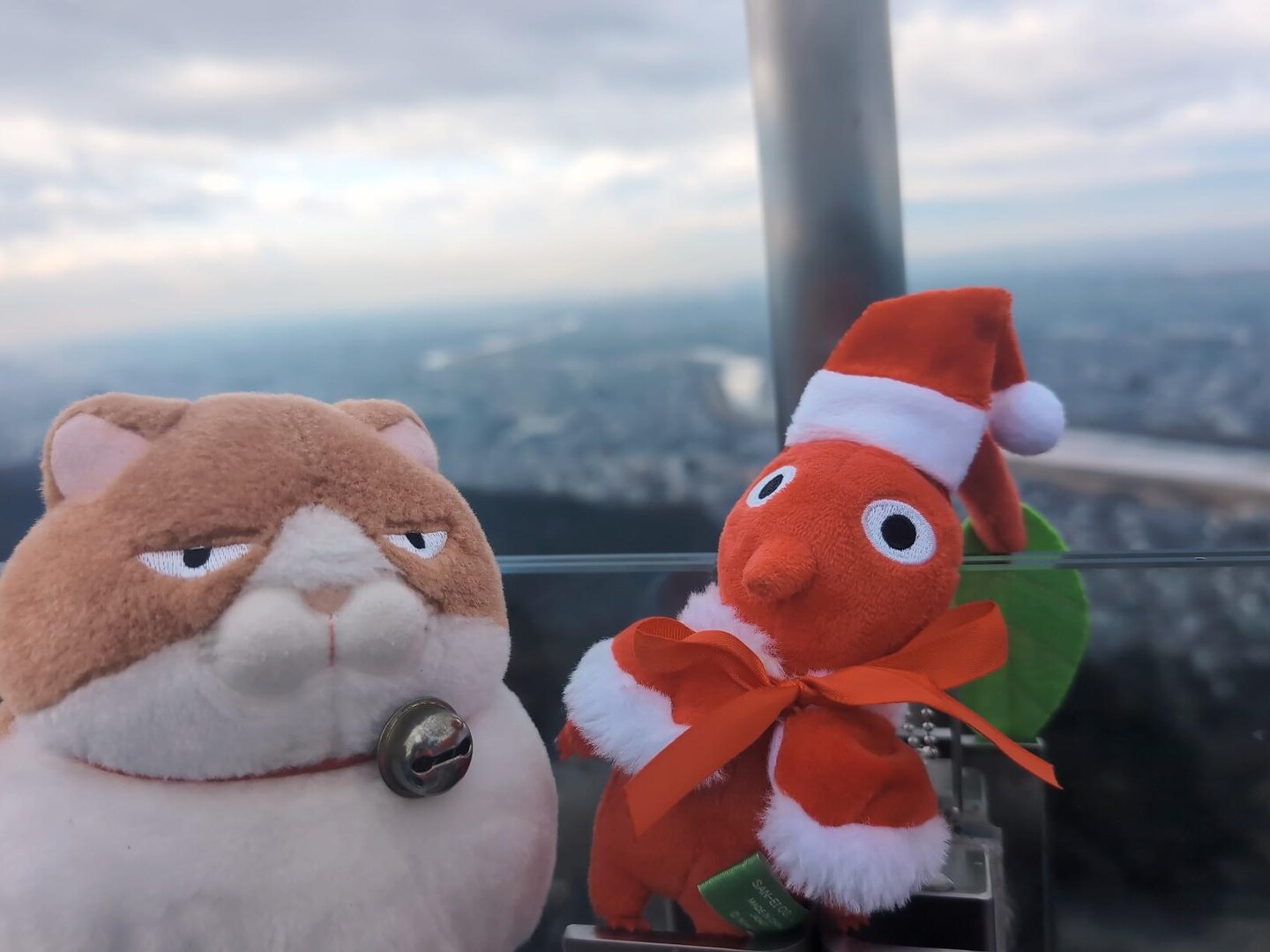 金華山 / Renaさんの金華山・洞山・舟伏山の活動日記 | YAMAP / ヤマップ