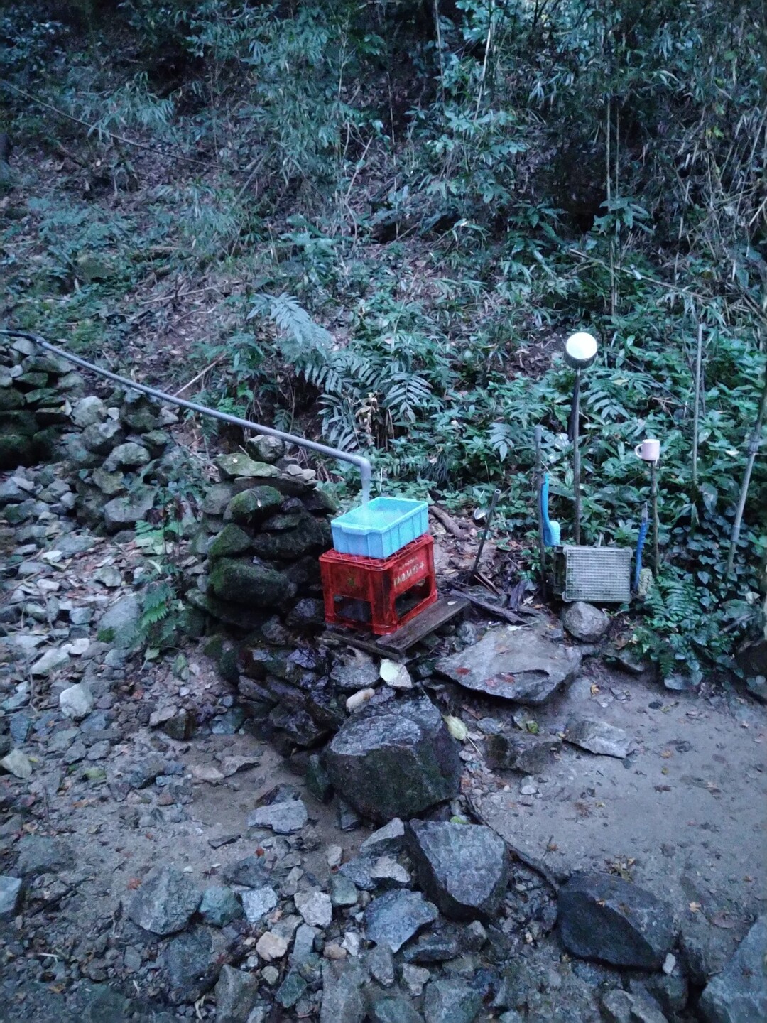 ichiさんの投稿したフィールドメモ | YAMAP / ヤマップ