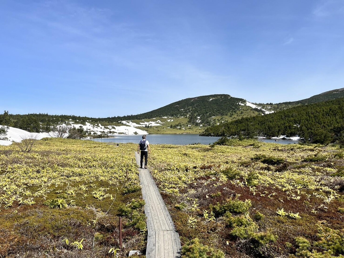 Tatuのページ | YAMAP / ヤマップ