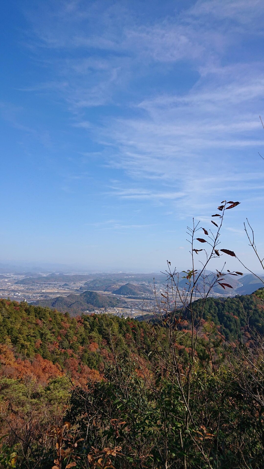 権現山・百々ヶ峰・百々ヶ峰(西峰)・真福寺山（反射板）周回 / b-Dragonさんの百々ヶ峰・源太峰の活動データ | YAMAP / ヤマップ