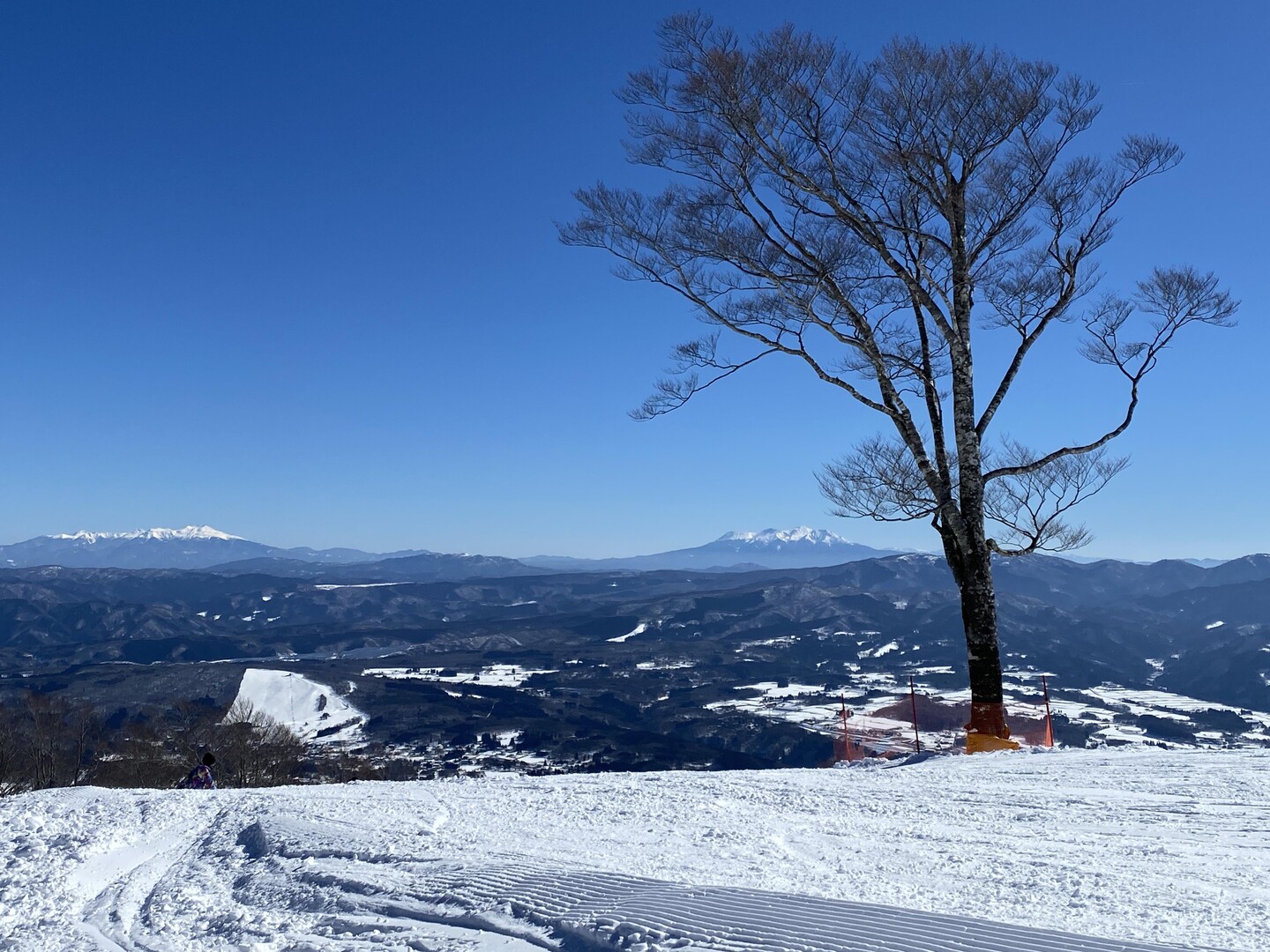 大日ヶ岳・毘沙門岳-2024-02-13 / neoさんの大日ヶ岳・毘沙門岳の活動データ | YAMAP / ヤマップ