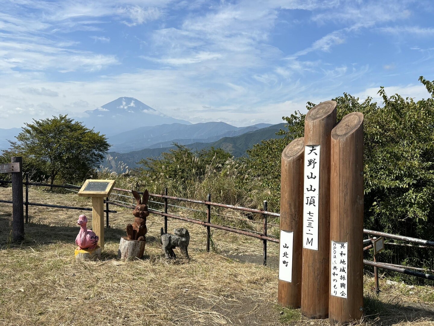 大野山（谷峨駅〜大野山〜山北駅） / Kozさんの高松山・大野山の活動データ | YAMAP / ヤマップ