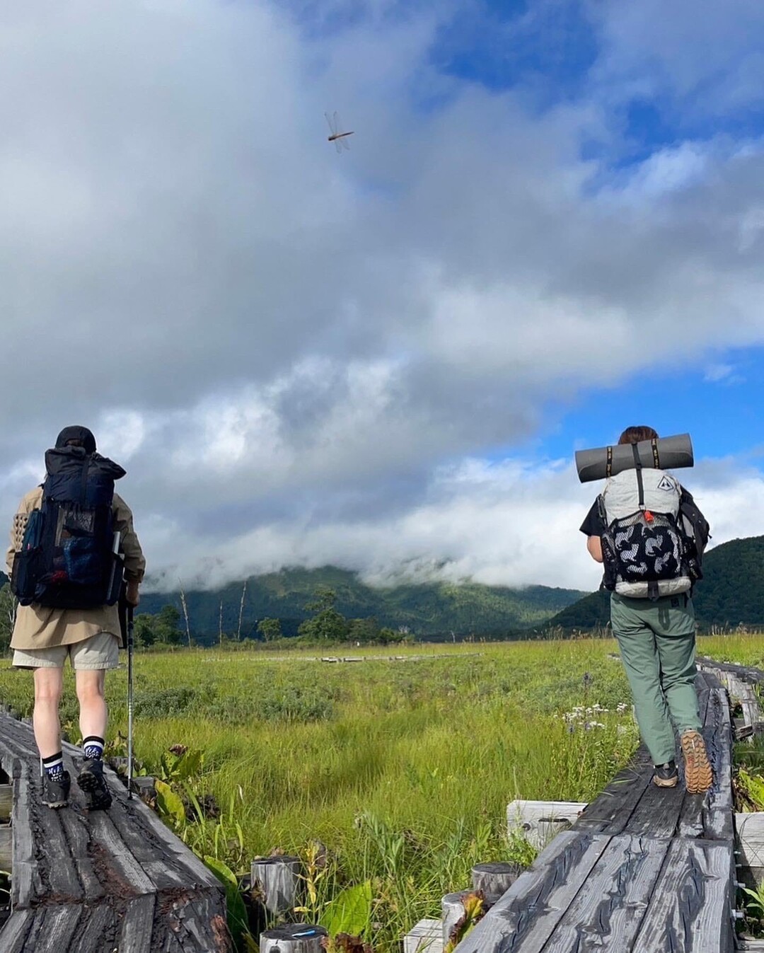 至仏山・小至仏山 / HARUさんの尾瀬・燧ヶ岳の活動データ | YAMAP / ヤマップ