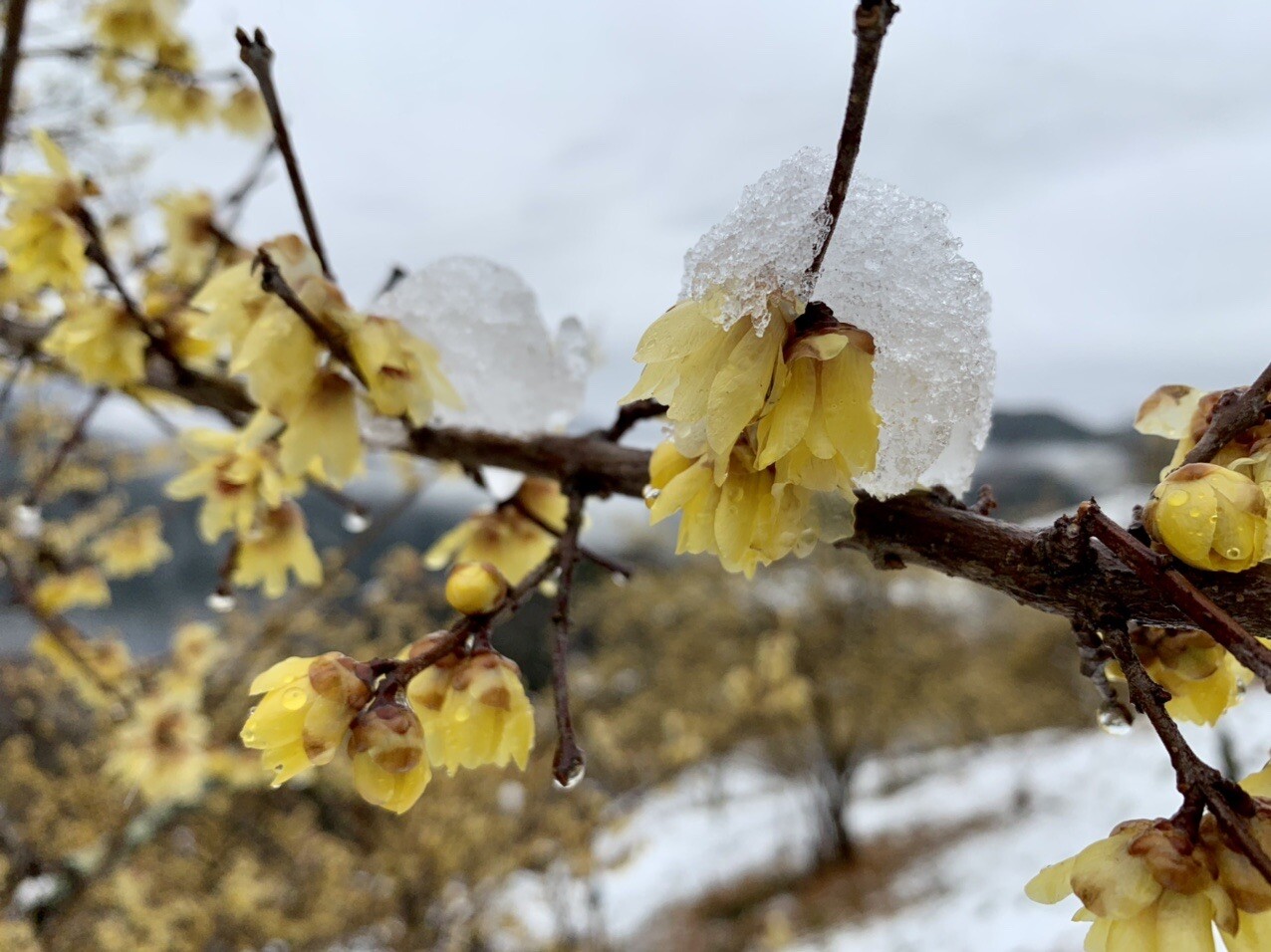 山に思いを馳せて...あいにくのお天気な... / Ekさんのモーメント | YAMAP / ヤマップ