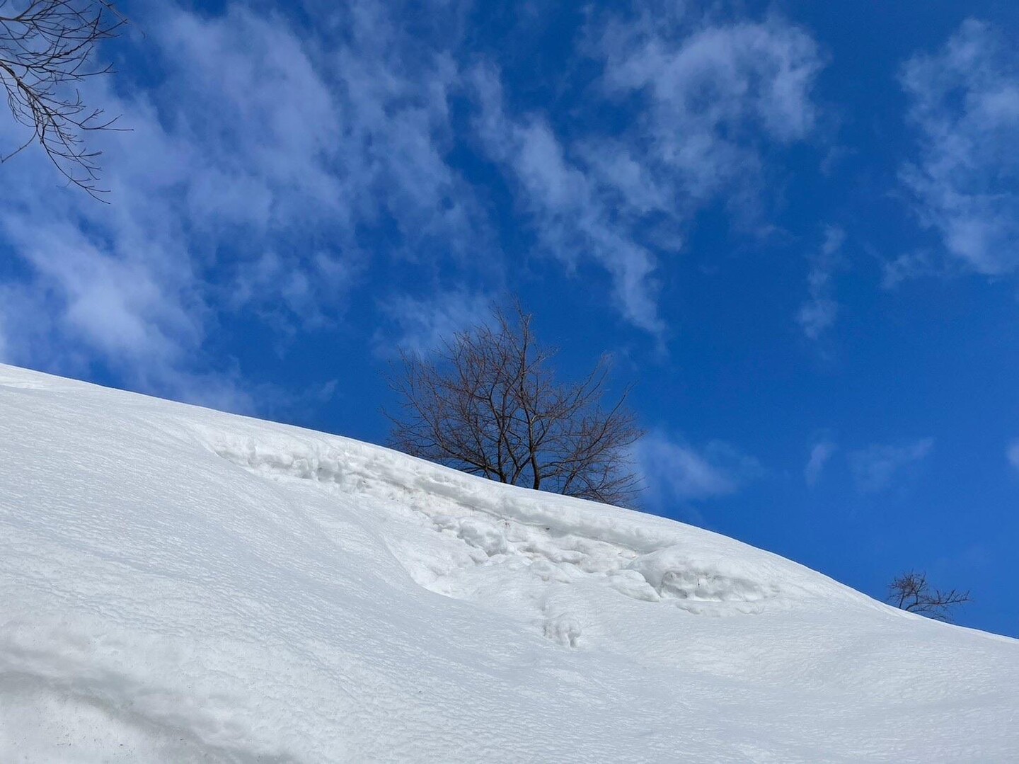 20230211 再び時水城山へ / COCOさんの時水城山・丸山の活動データ | YAMAP / ヤマップ