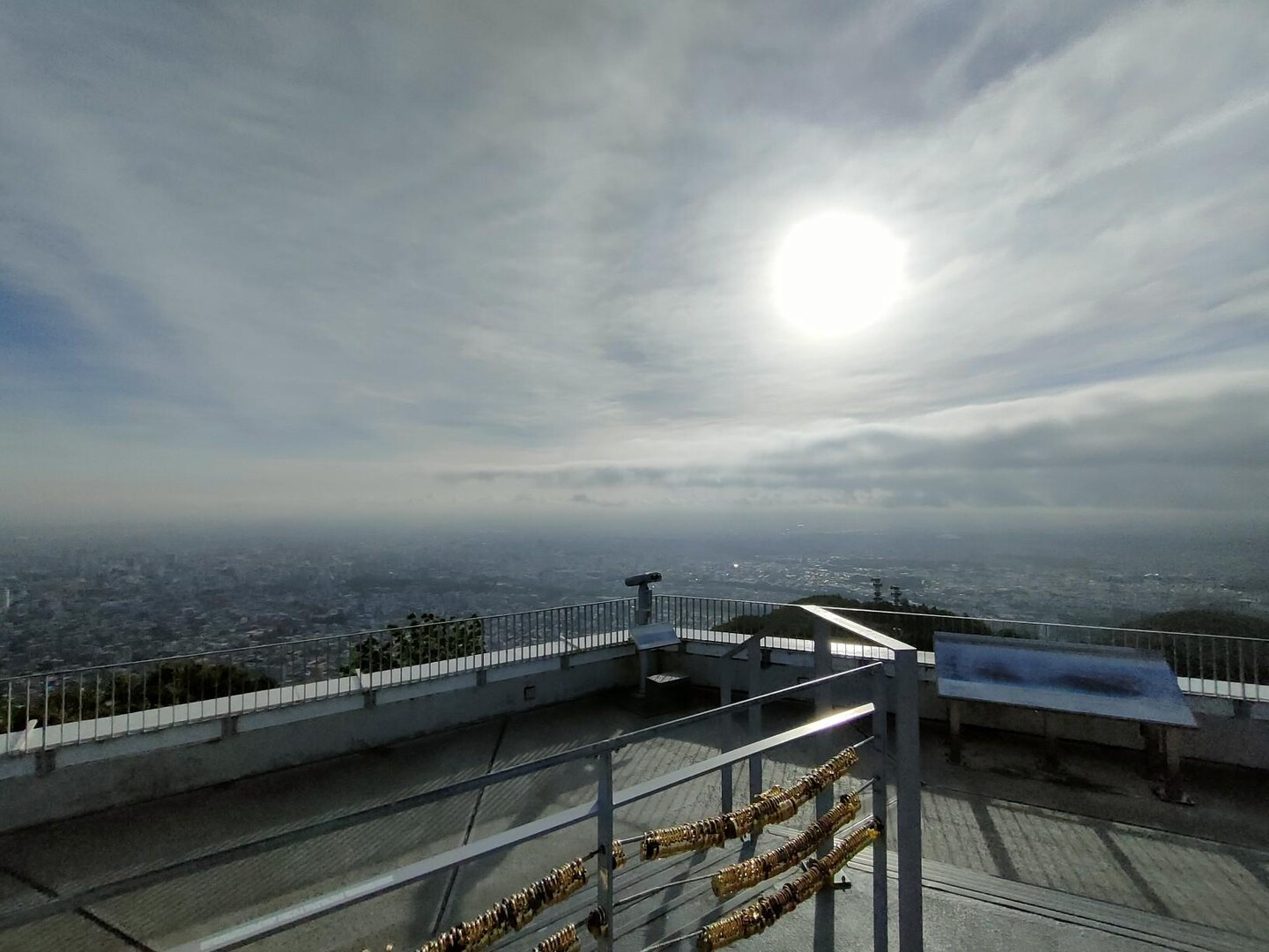 藻岩山早朝⛰の日 2023-08-11 / sikasunさんの藻岩山の活動データ | YAMAP / ヤマップ