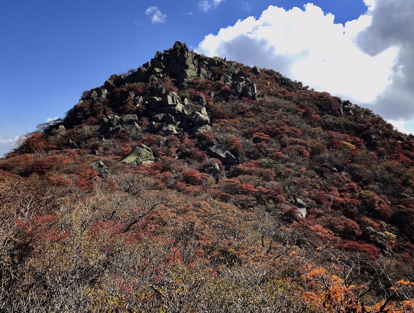 苔た黒岳登山道と紅葉の天狗岩 / Coki-aさんの九重山（久住山）・大船山・星生山の活動データ | YAMAP / ヤマップ