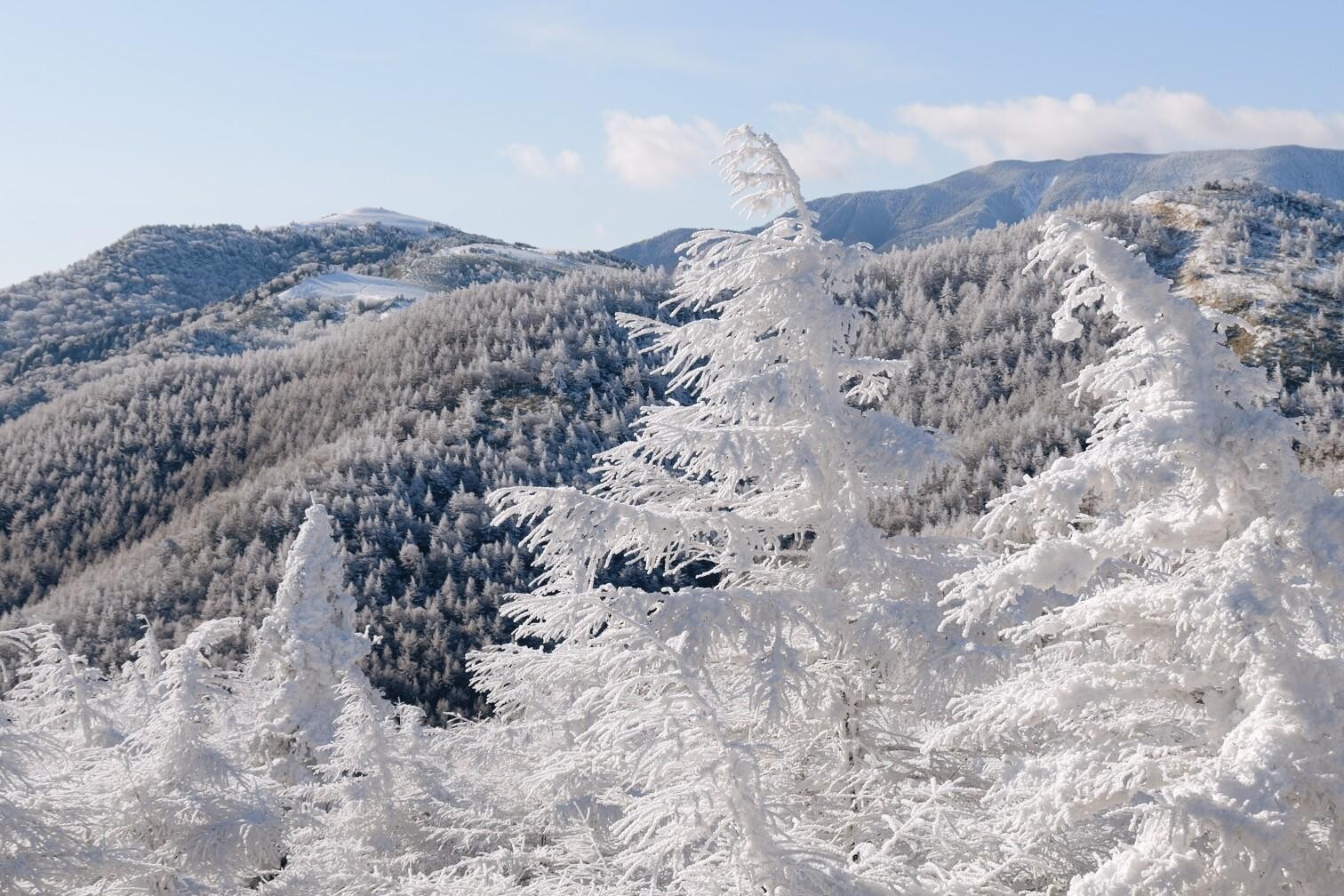 登り初め ️南沢山・横川山（湯舟沢山） / mioさんの恵那山・大判山・神坂山の活動データ | YAMAP / ヤマップ