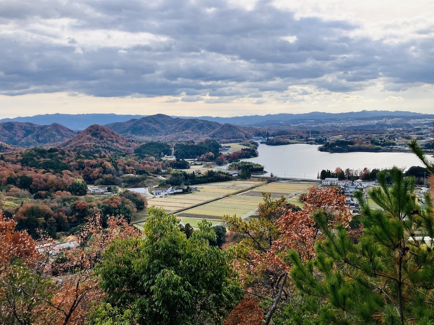 千丈寺山・北千丈寺山 / ＊natural・style＊さんの千丈寺山・てんぐの森の活動データ | YAMAP / ヤマップ