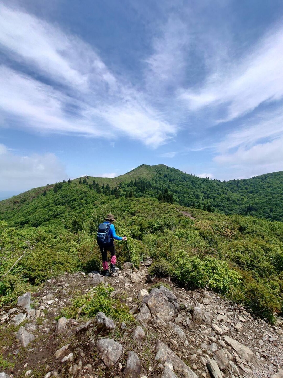 御殿山・武奈ヶ岳・前山 / silkoさんの比良山地・武奈ヶ岳・釈迦岳の活動データ | YAMAP / ヤマップ