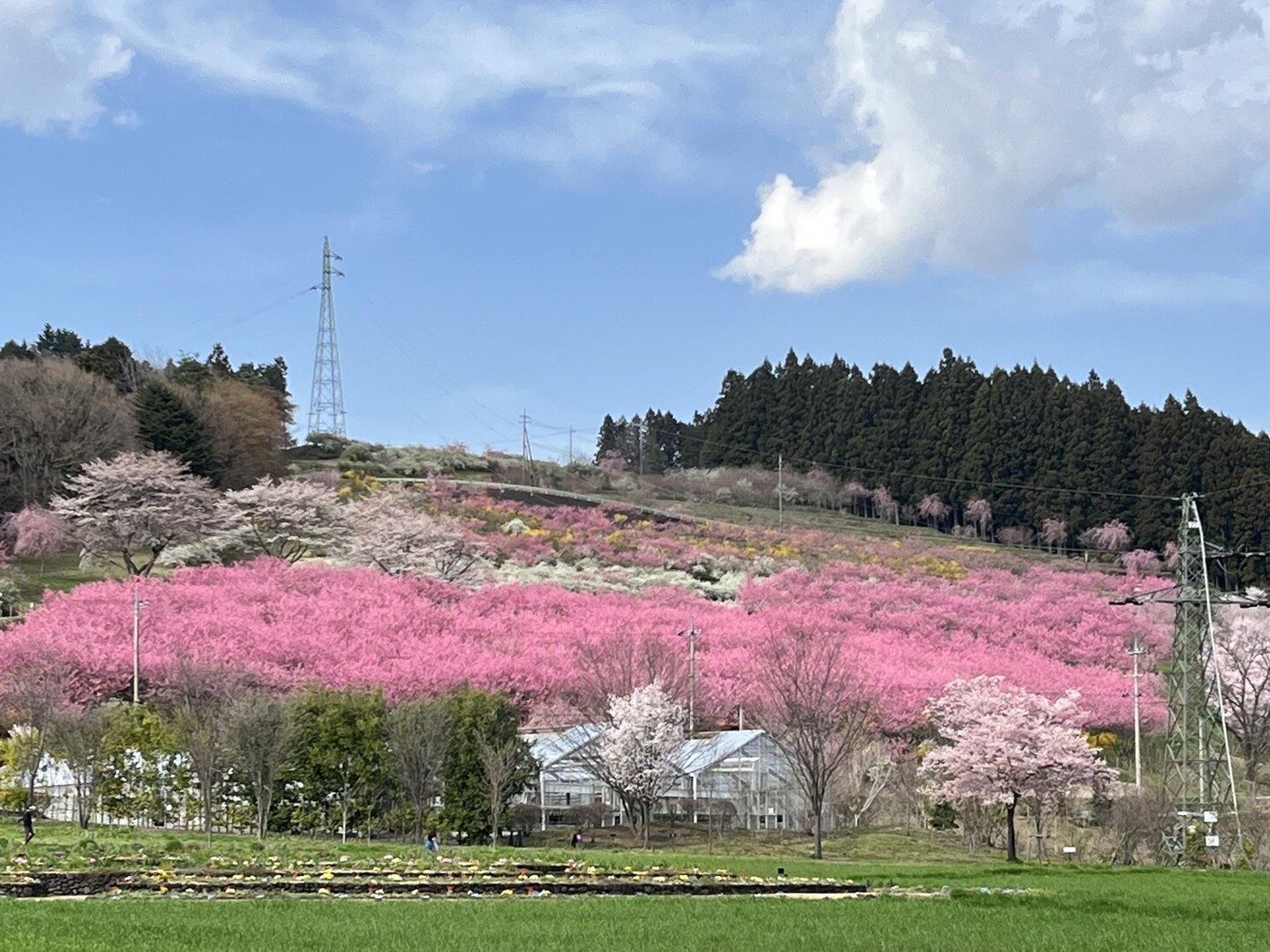 ぐんま吾妻観光Part2🌸 "吾妻ガー... / りさ。さんのモーメント | YAMAP / ヤマップ