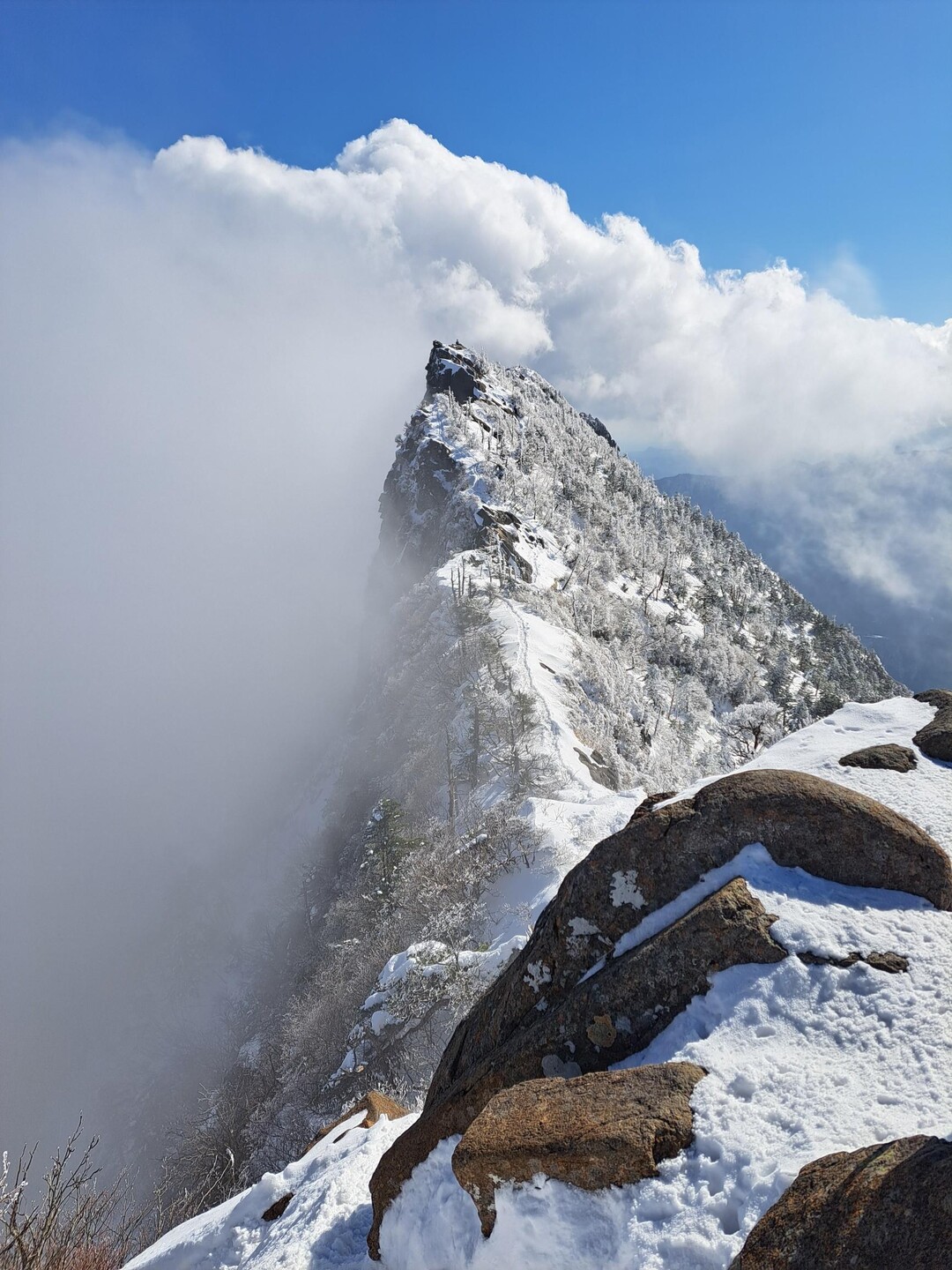 石鎚山～天狗岳 ️😍 / はるちゃんさんの石鎚山・堂ヶ森・二ノ森の活動データ | YAMAP / ヤマップ