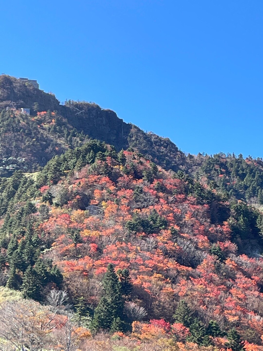 石鎚山 / moko_sさんの石鎚山・堂ヶ森・二ノ森の活動データ | YAMAP / ヤマップ