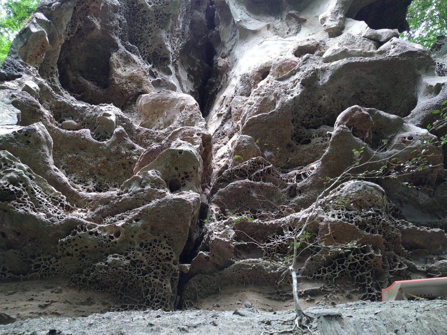 双石山(Boroishiyama) / ryuchanさんの双石山・花切山・岩壺山の活動データ | YAMAP / ヤマップ