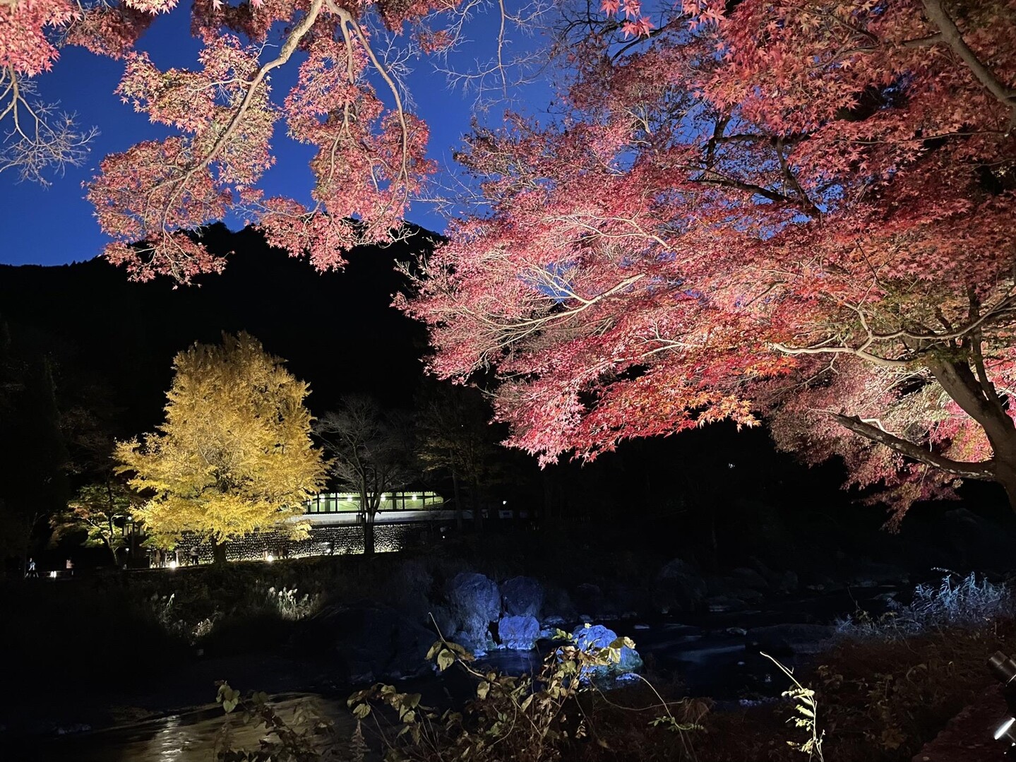 御岳渓谷紅葉ライトアップ の前に御岳山＋大岳山(気づいたらYAMAP200座目) / あずきさんの大岳山・御岳山・御前山の活動データ | YAMAP / ヤマップ