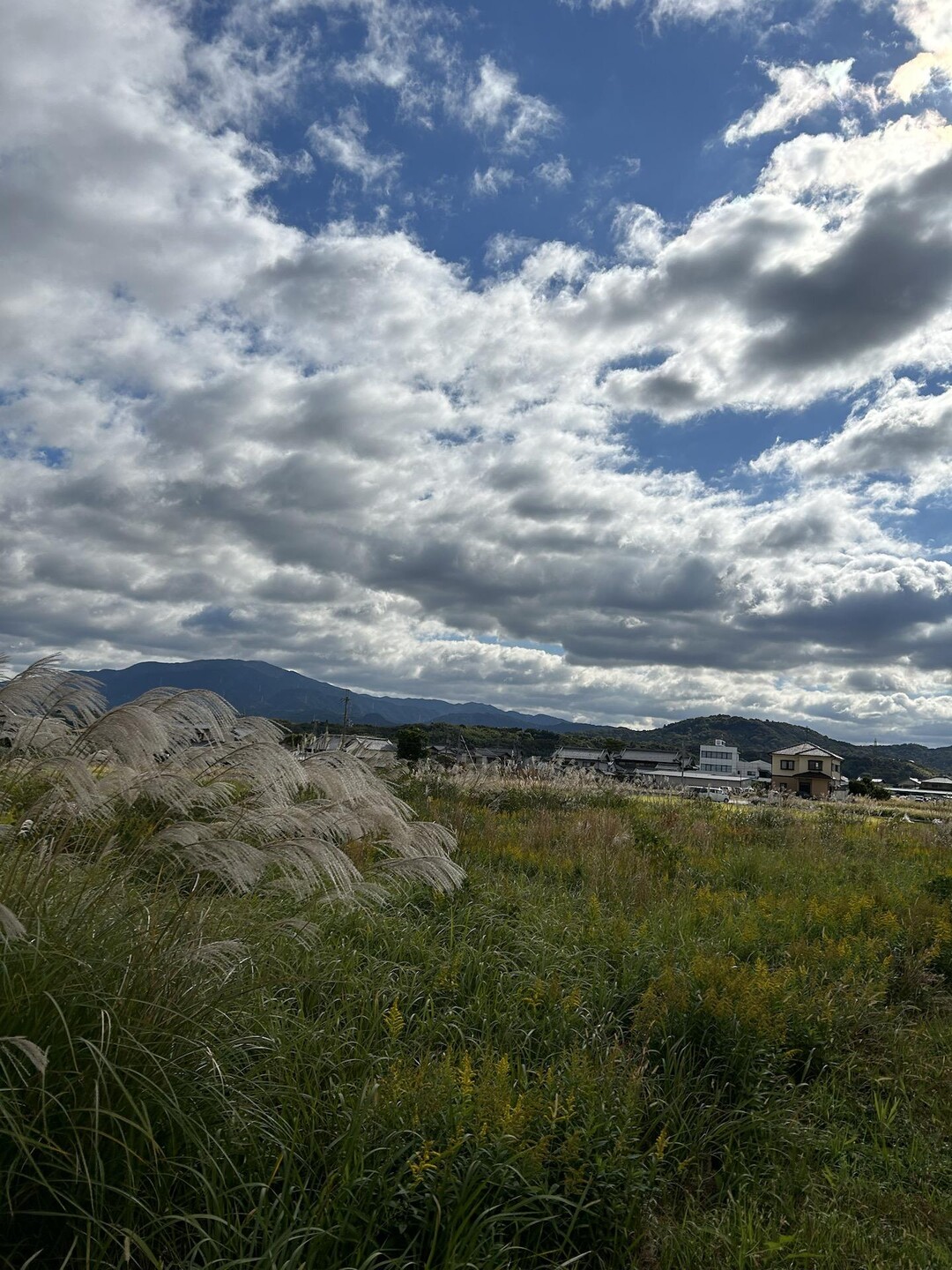 今日の散歩のコースにて / Hiromin in M.t さんのモーメント | YAMAP / ヤマップ