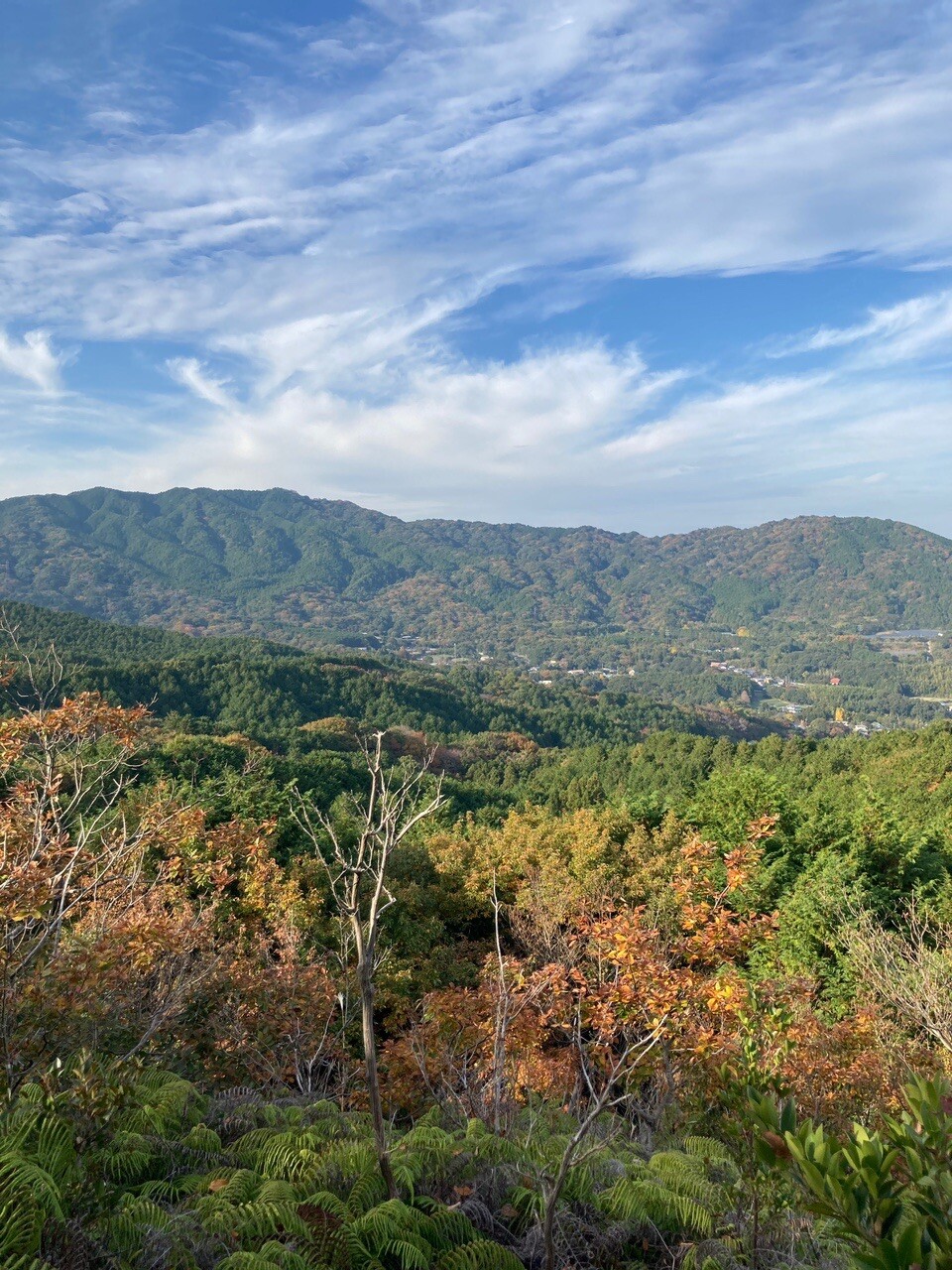 hiyoさんの投稿したフィールドメモ | YAMAP / ヤマップ