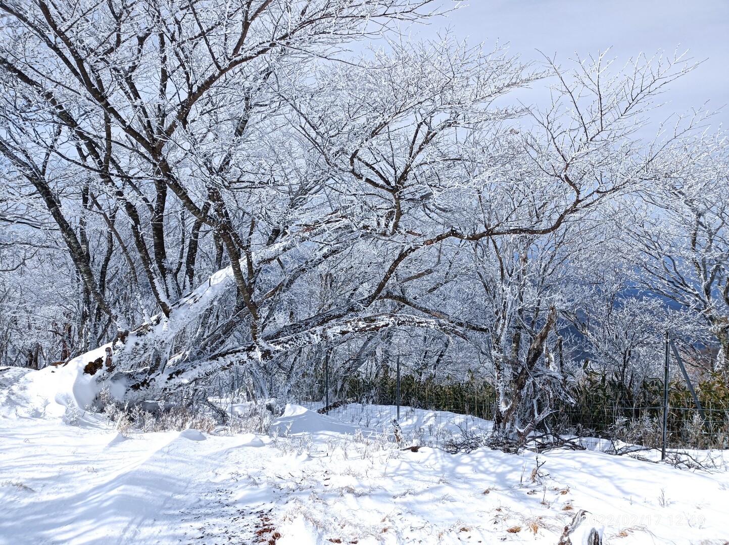 2022.02.19(土) 23:55 / hiroさんのモーメント | YAMAP / ヤマップ