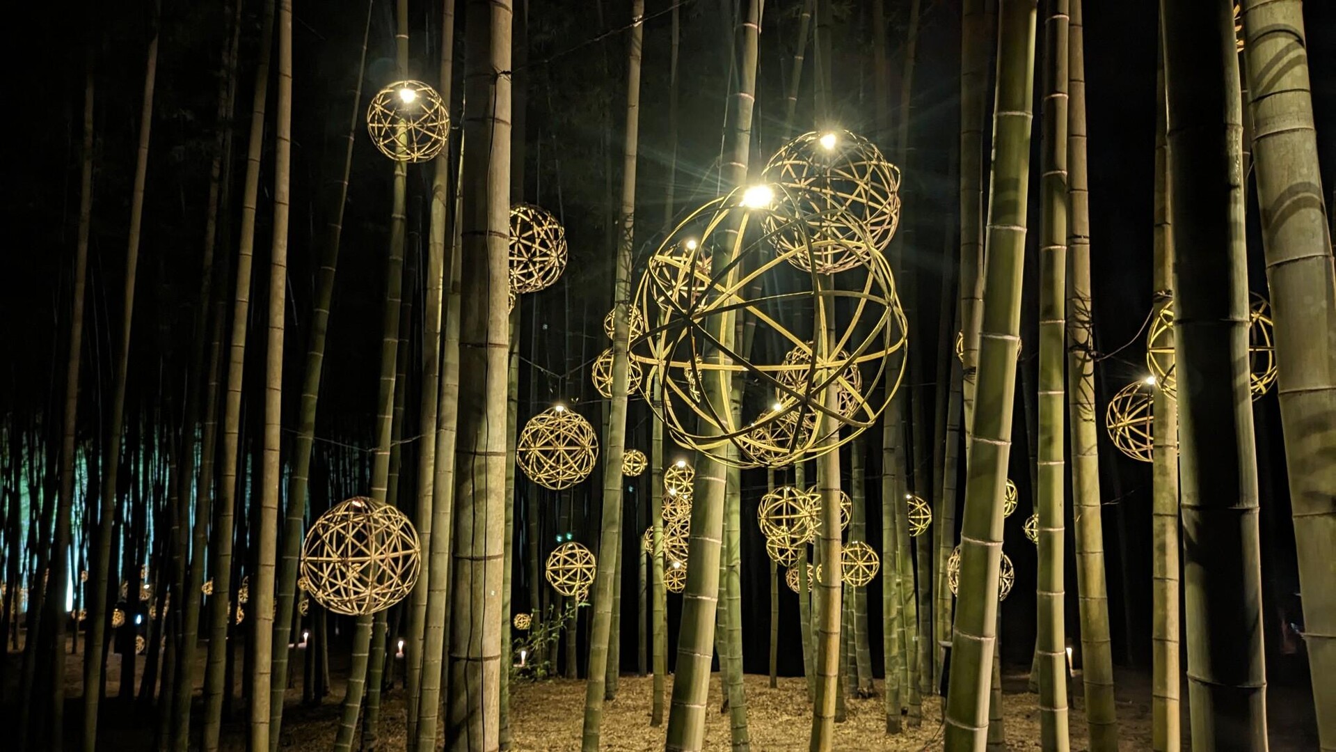 若竹の杜 若山農場にて。 映画「るろうに... / m93さんのモーメント | YAMAP / ヤマップ