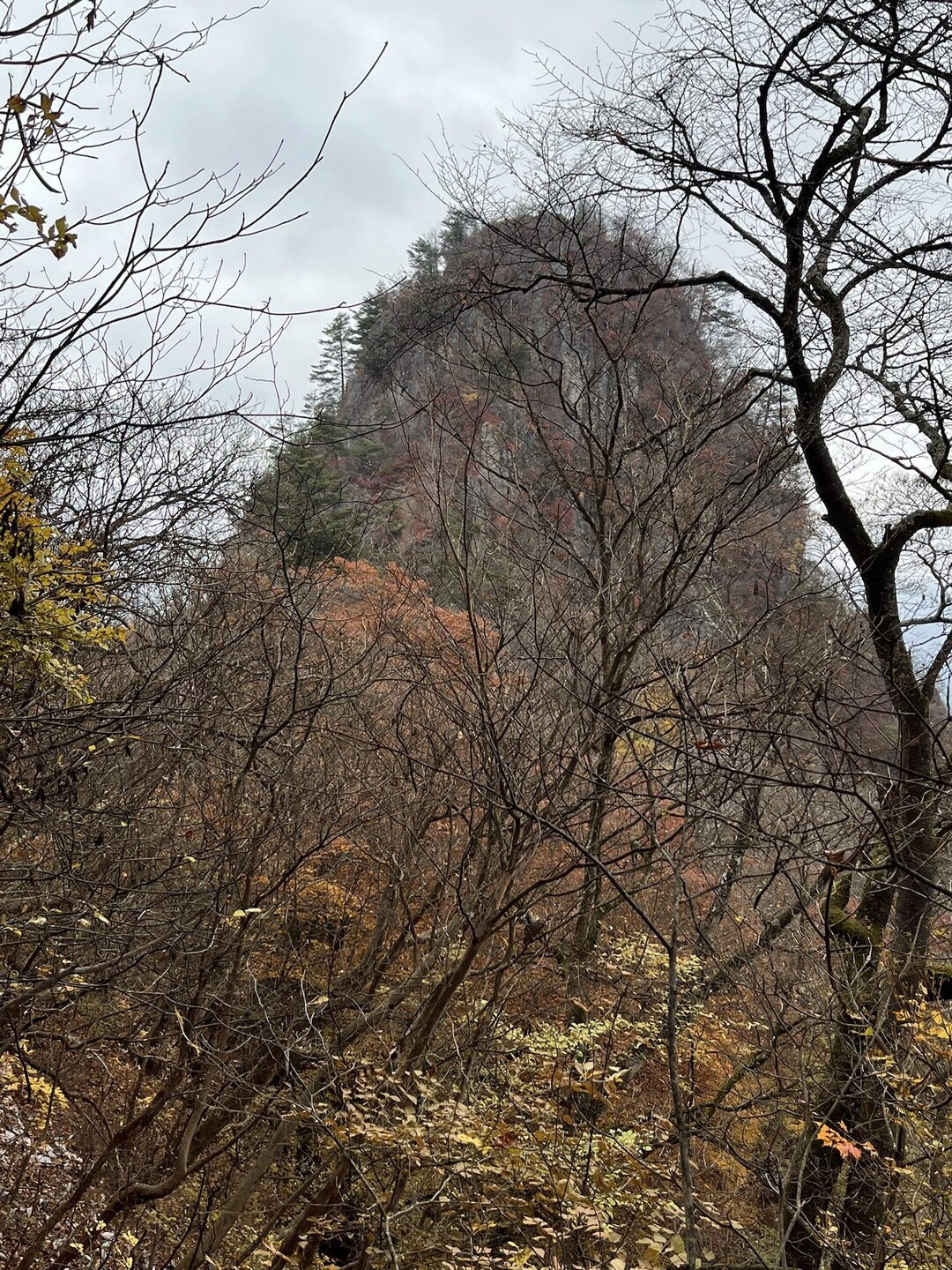 天狗岩・シラケ山・マル・烏帽子岳 ピストン後一瞬道迷い💦 / みっちゃんさんの三ツ岩岳・烏帽子岳の活動日記 | YAMAP / ヤマップ
