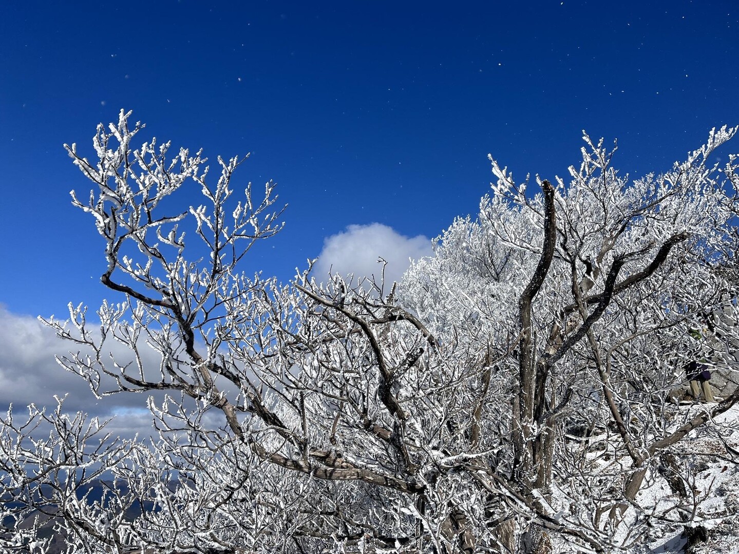 高見山 / yoktak79さんの高見山・黒石山・天狗山の活動データ | YAMAP / ヤマップ