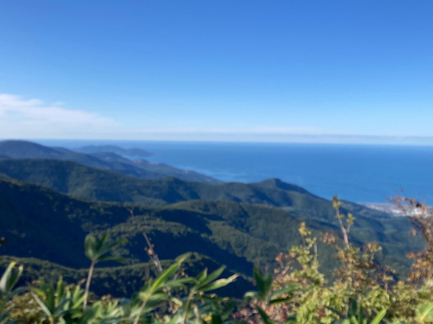下山のシンガリにはギリギリならず 寂しかった手稲山 / Virinさんの手稲山・奥手稲山の活動データ | YAMAP / ヤマップ