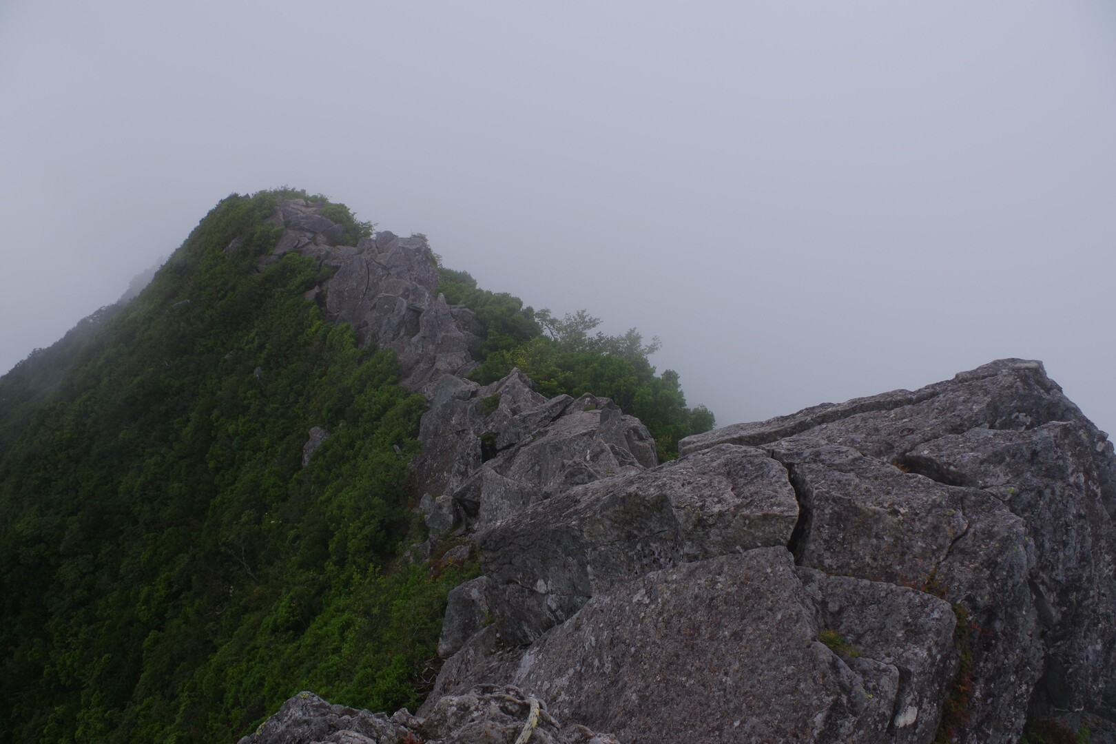 矢筈ヶ山・甲ヶ山 / akgestさんの大山・甲ヶ山・野田ヶ山の活動データ | YAMAP / ヤマップ