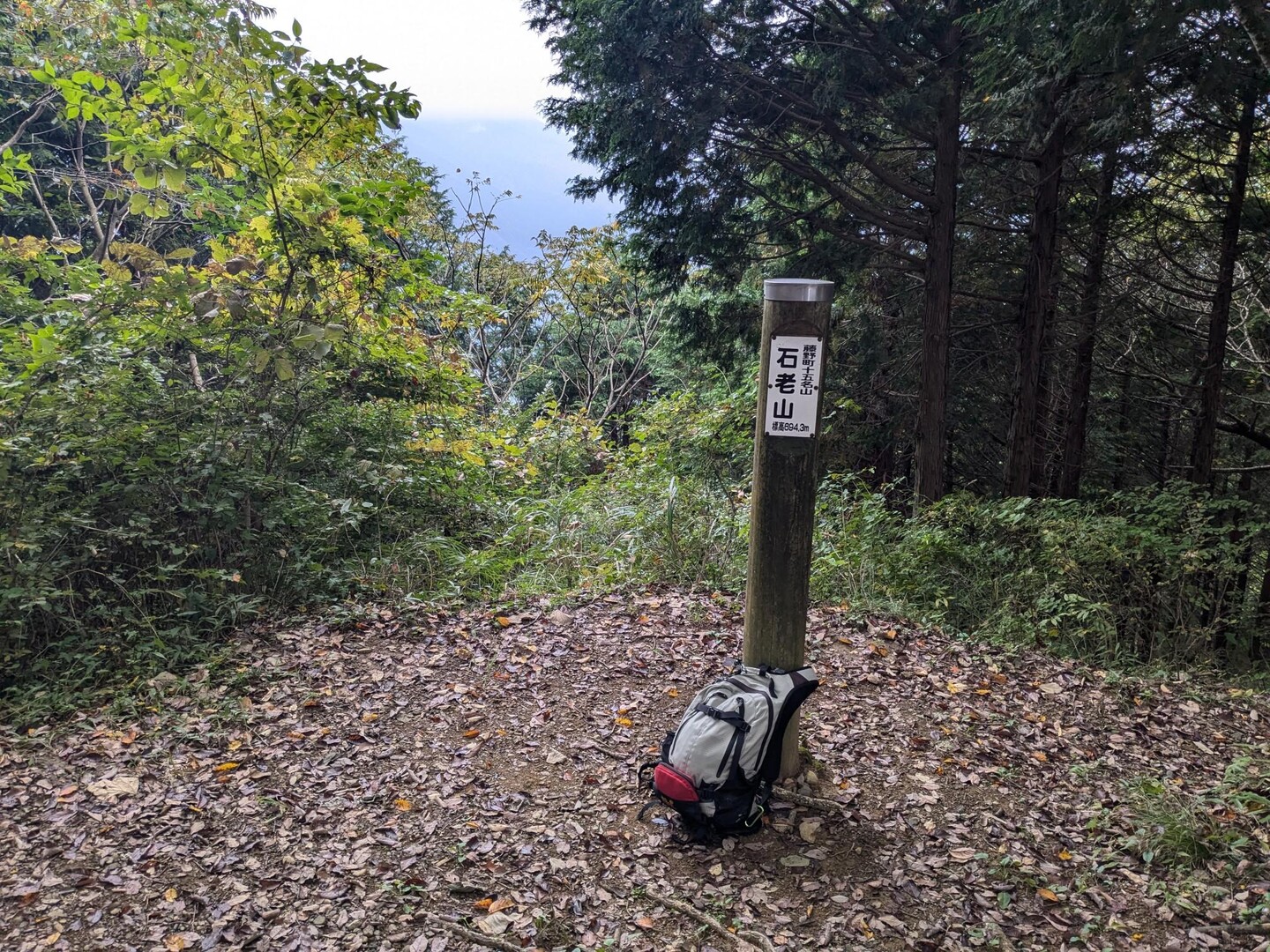 Sekirousan with leech challenge / ANZさんの石老山・ 石砂山の活動日記 | YAMAP / ヤマップ