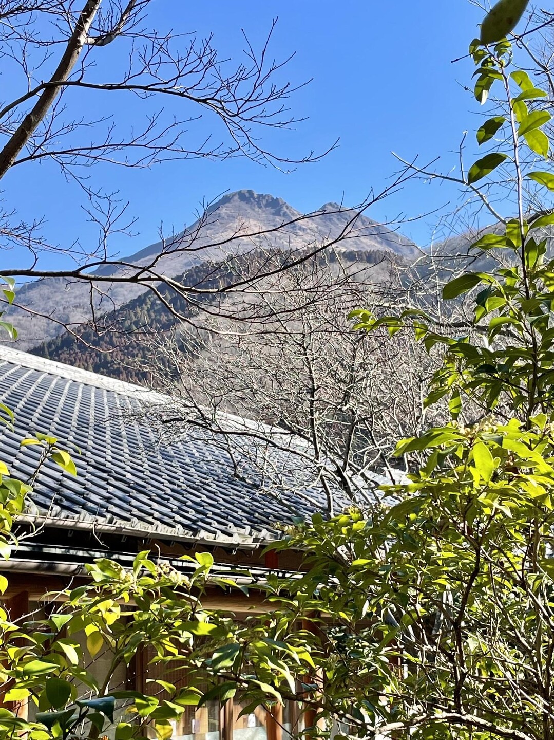 3週間前に登った由布岳。今日は快晴。眺め... / toshiさんのモーメント | YAMAP / ヤマップ