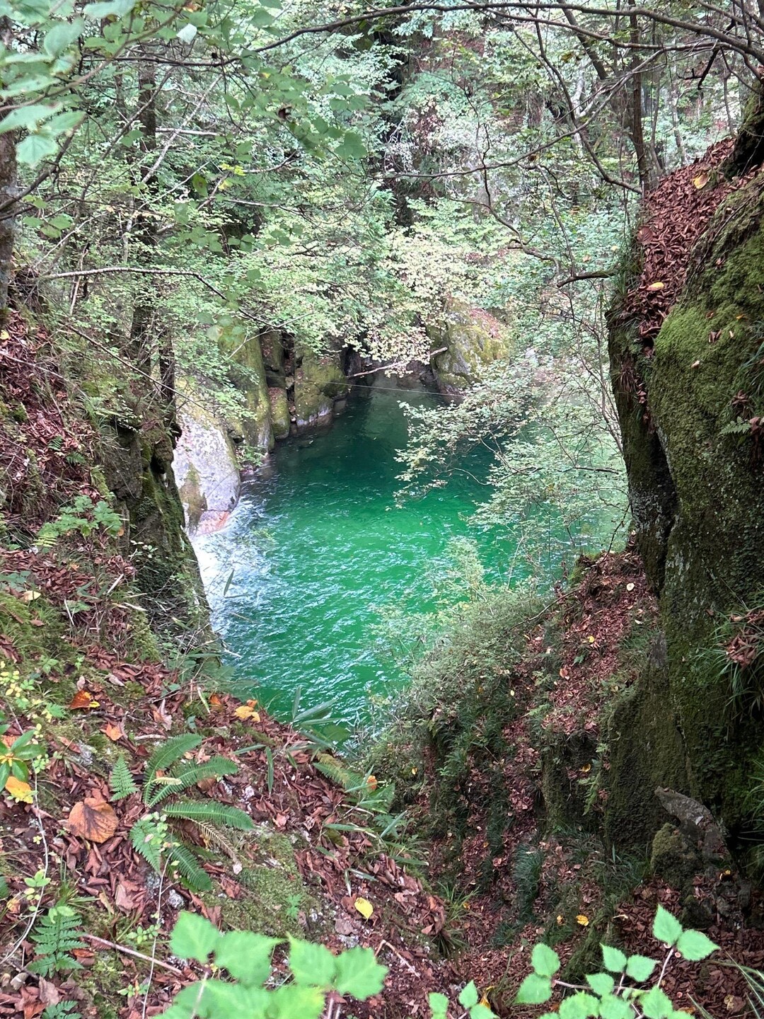 尾白川渓谷 20241019 / あきTRさんの甲斐駒ヶ岳・日向山の活動データ | YAMAP / ヤマップ