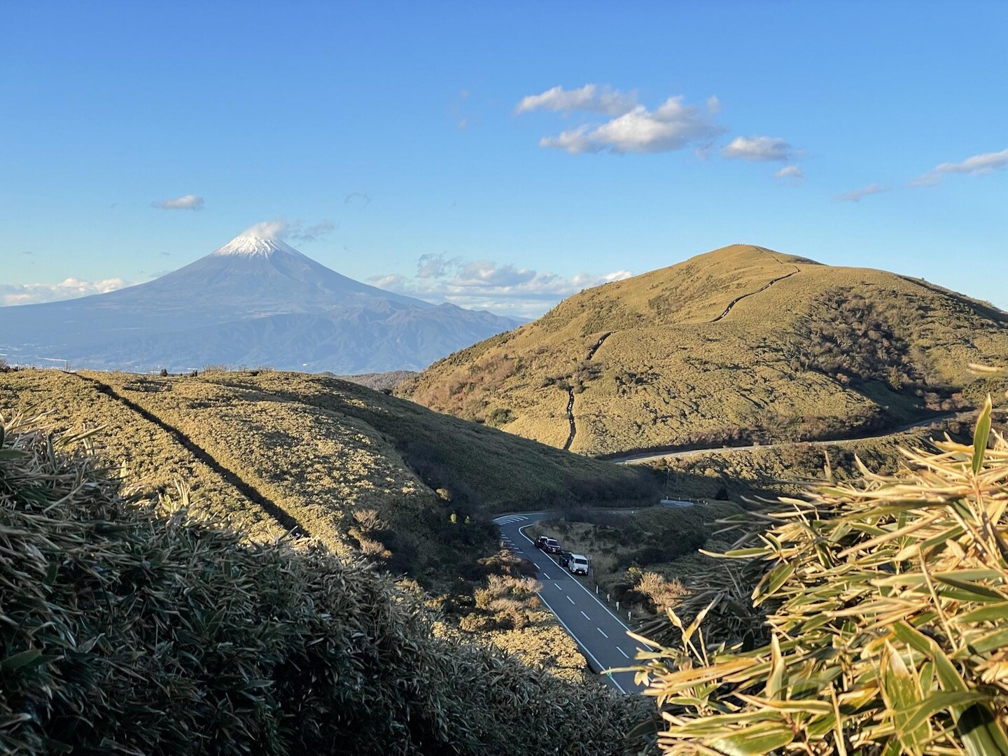 Izu Trail Journey 70K / まいち。さんの金冠山・達磨山・葛城山の活動データ | YAMAP / ヤマップ