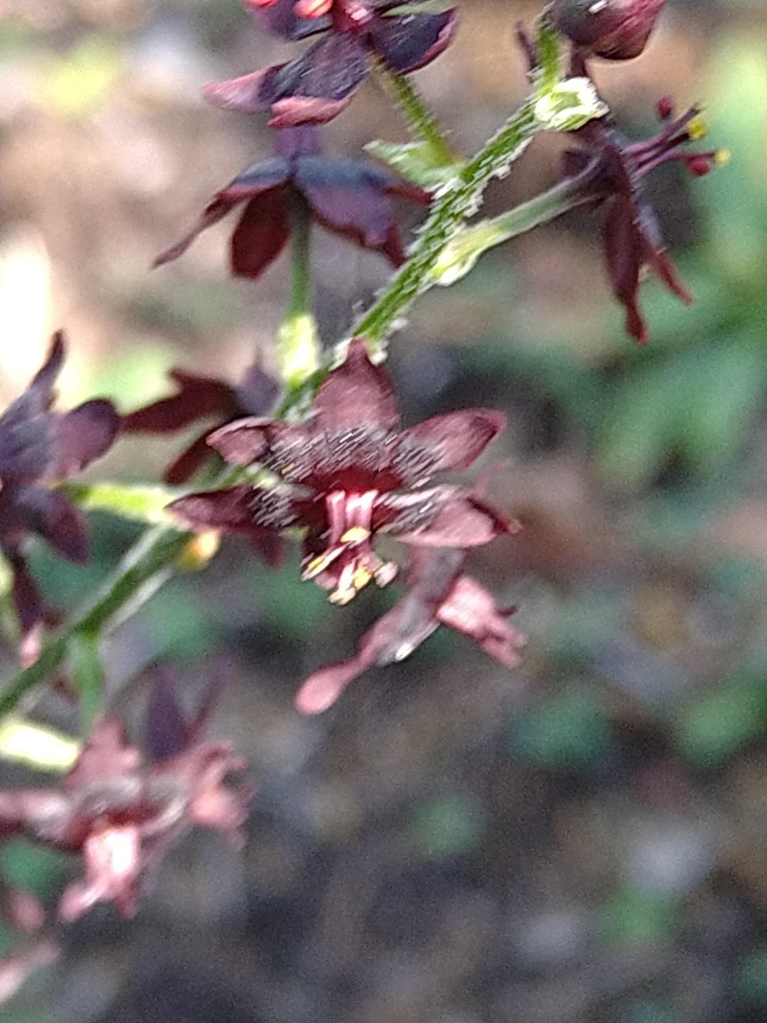 鞍掛山山歩 22-016 wt.4.3kg / toshiさんの鞍掛山・後山・三童子山の活動データ | YAMAP / ヤマップ