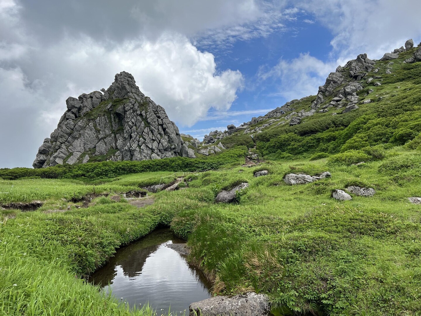 50年ぶりのトムラウシ山 / 山爺さんのGT3 2の活動データ | YAMAP / ヤマップ