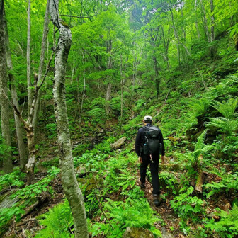 HTのページ | YAMAP / ヤマップ